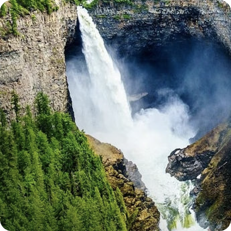 Gengyve: Mouthwash Going Beyond Fresh Breath to Whole Body Wellness ...